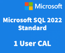 Microsoft SQL Server 2022 User CAL